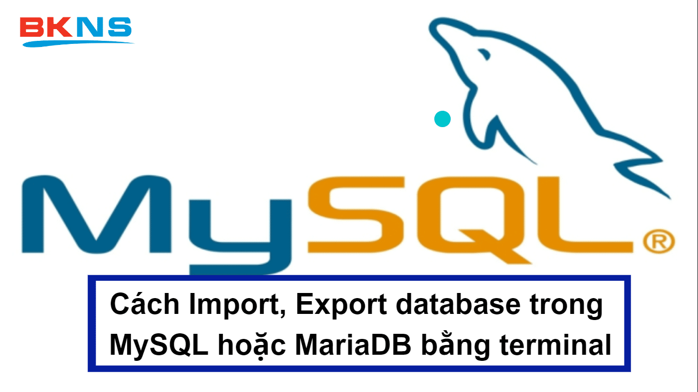 Cách Import, Export database trong MySQL hoặc MariaDB bằng terminal - BKNS