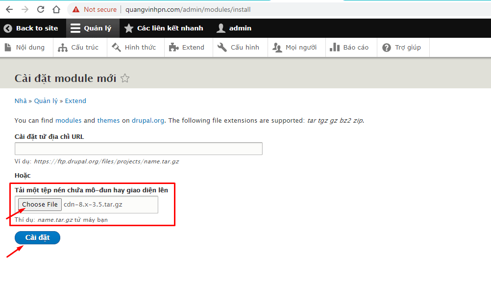 Hướng dẫn cài đặt CDN trên Drupal - BKNS